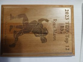 TDR Top 12 Team members named « Takedown Report